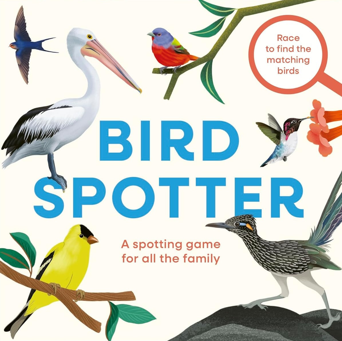 Bird Spotter: Race to be first to find the matching birds